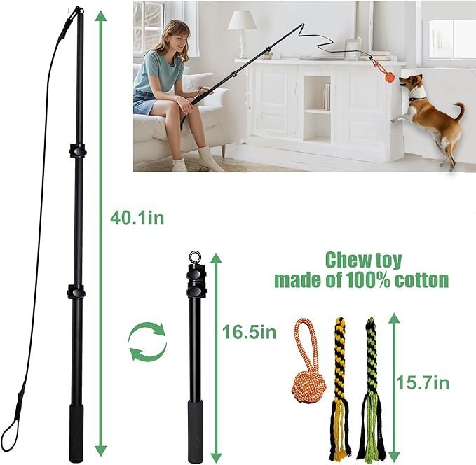 Heavy-Duty 40-Inch Extendable Flirt Pole for Dogs – Urban hub pets store