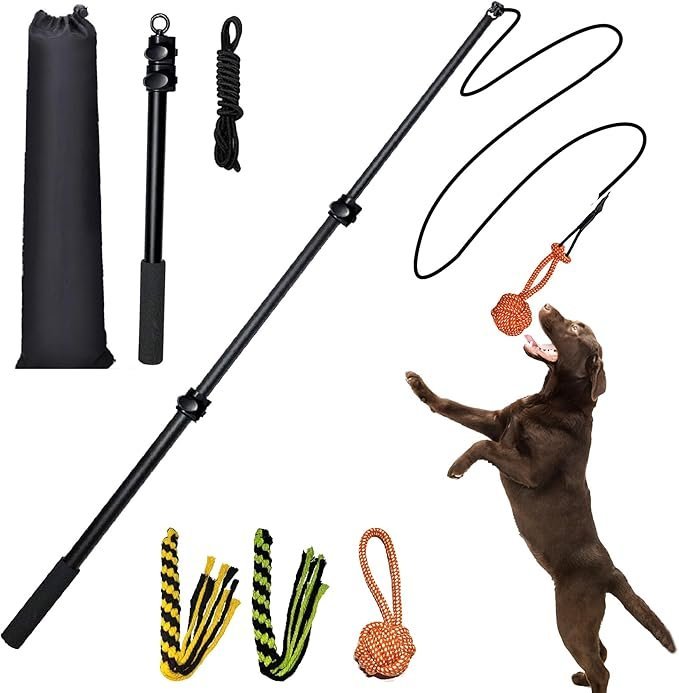 Heavy-Duty 40-Inch Extendable Flirt Pole for Dogs – Urban hub pets store